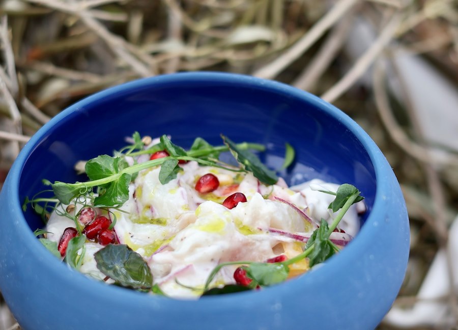 Homepage Elaio Restaurant in Nice