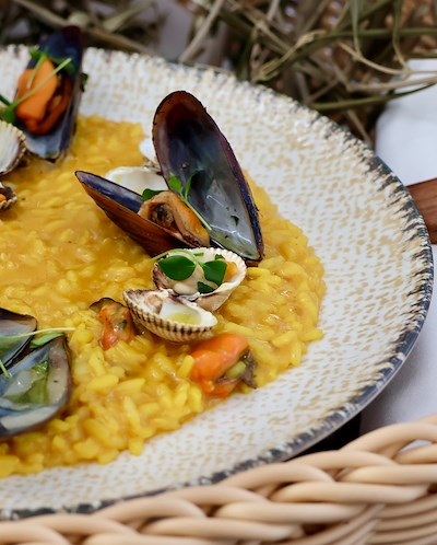 Menus of Elaio Restaurant in Nice